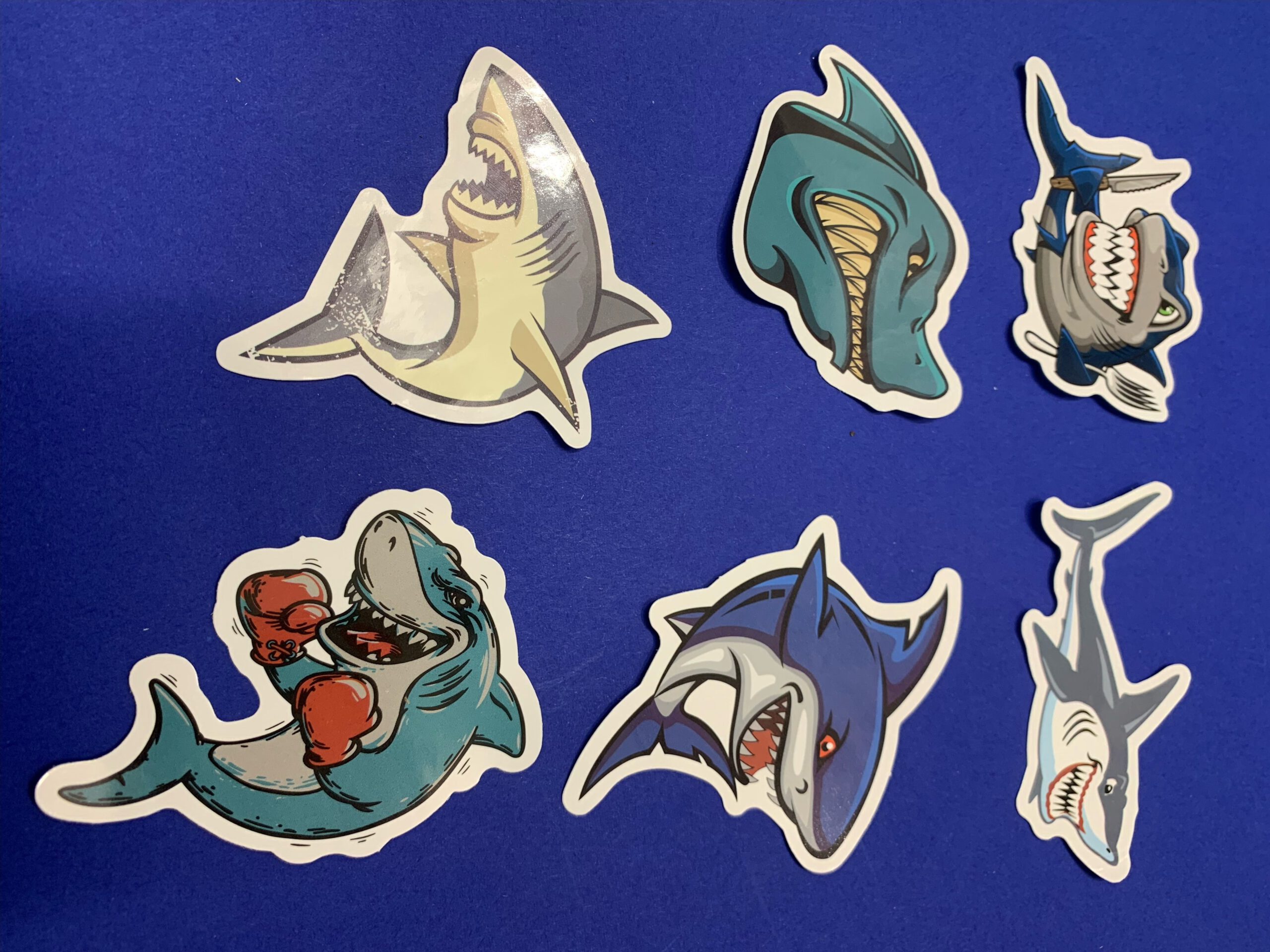 Stickerset Haai 2 - Meer dan een lintje